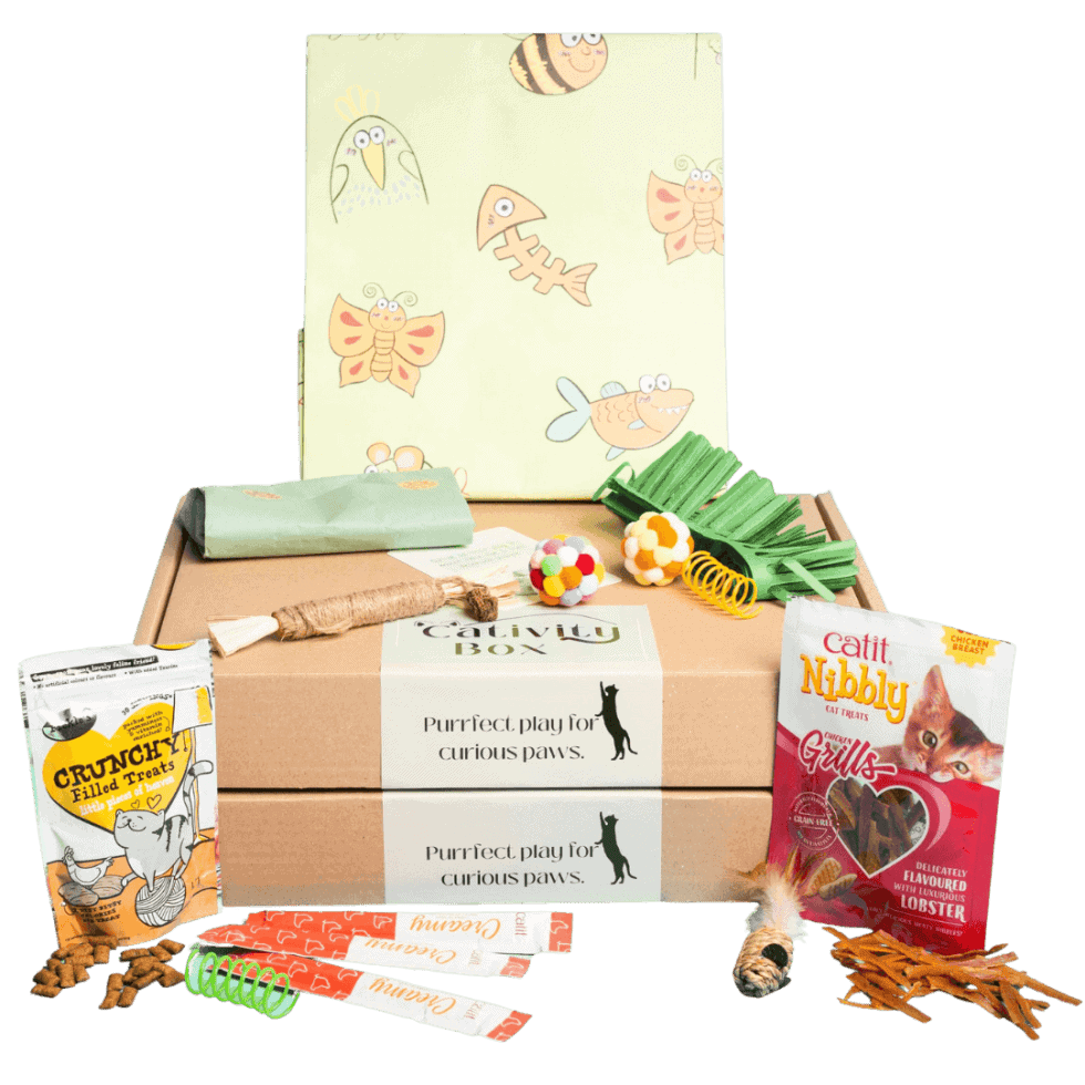 Cativity Box, the activity box just for cats